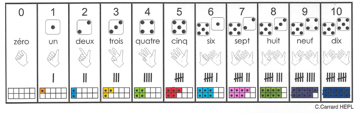 Comptage – dénombrement – énumération – Ateliers dys